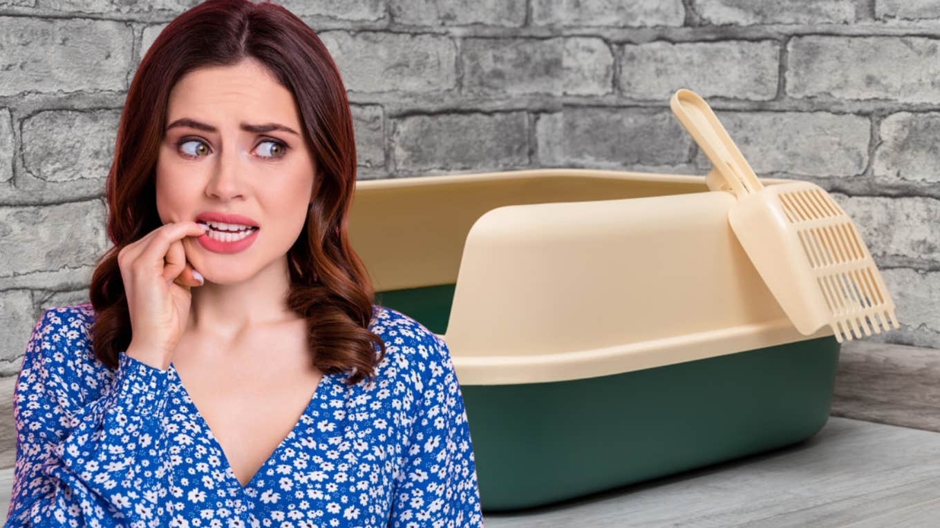 Man Calls Girlfriend Revolting After She Used Their Cats Litter Box When He Took Too Long In