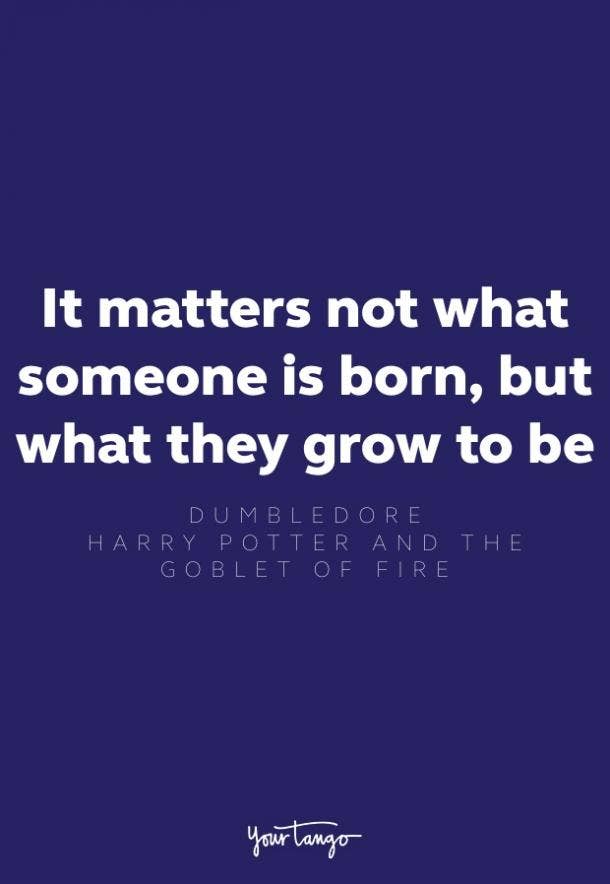 50 Most Powerful Dumbledore Quotes From Harry Potter Yourtango