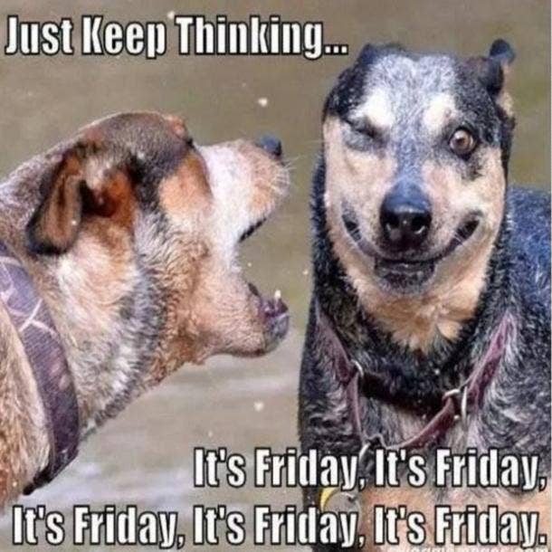 100 Funny Friday Memes For When Youre So Ready For The Weekend Yourtango
