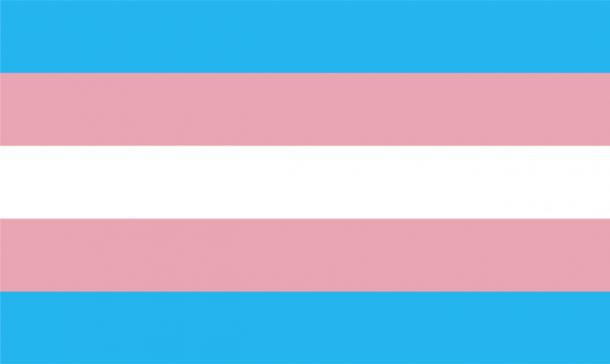 16 Sexuality Flags And Their Meanings Yourtango