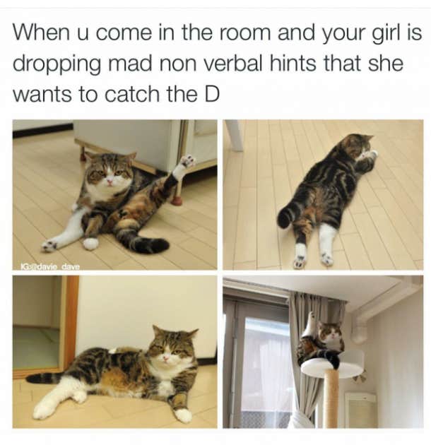 50 Hilarious Sex Memes We Cant Get Enough Of Yourtango