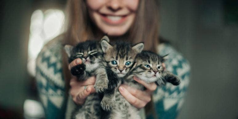Why You Should Spend Way More Time Cuddling With Cats Yourtango