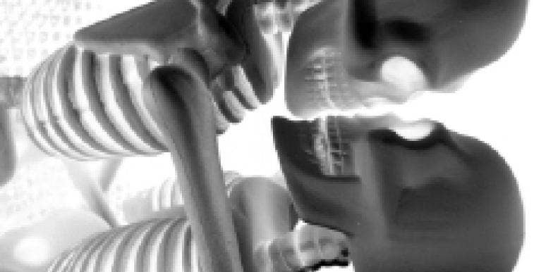 Body Exhibit To Feature Cadaver Sex Yourtango
