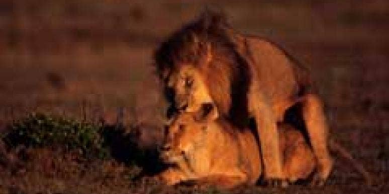 Rate Your Sex Positions Yourtango