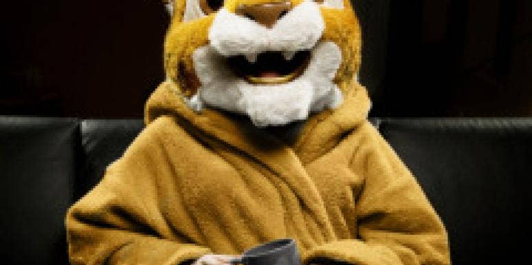 Furries Theyre Not All About Kinky Sex Yourtango