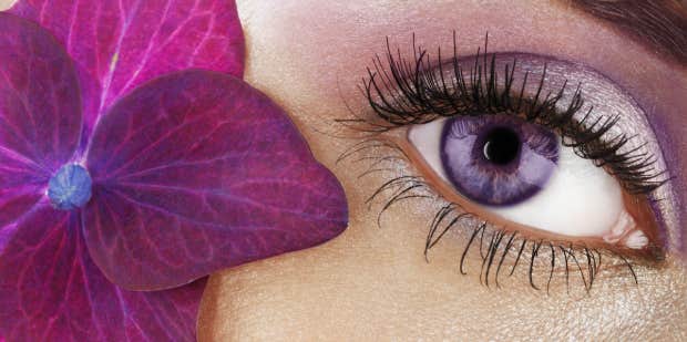 Are Purple Eyes Real How Its Possible To Have Violet Colored Eyes 0107